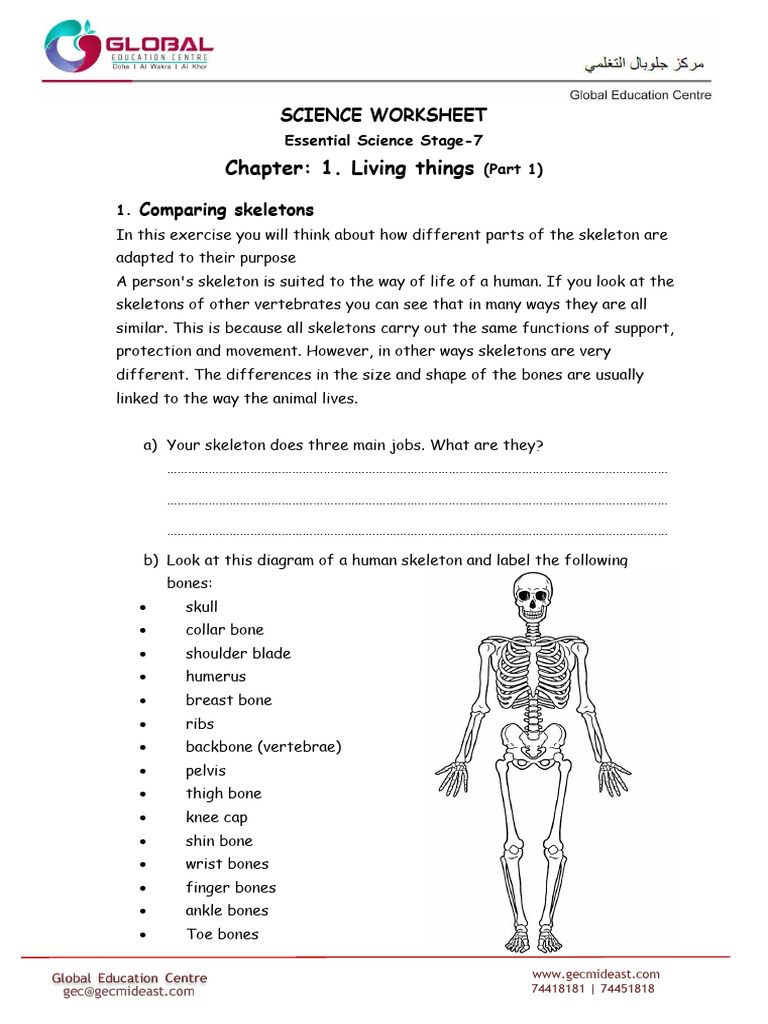 Living Things Worksheet-1 | PDF | Skeleton | Cell (Biology)