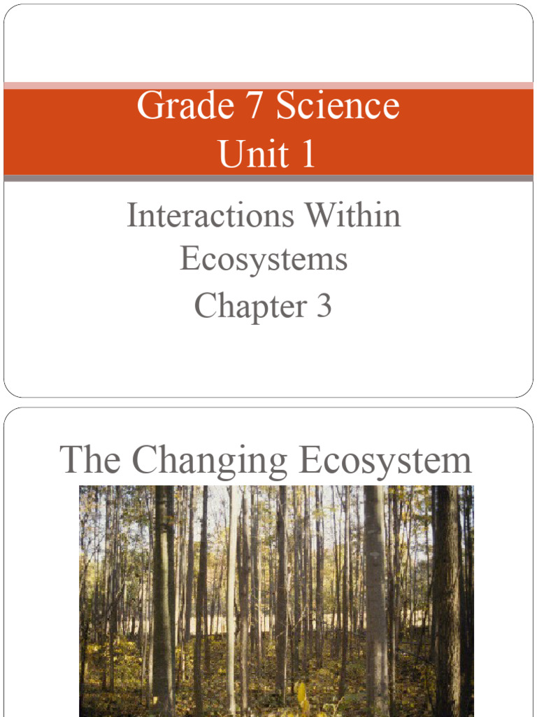 Ecosystem Succession & Human Impact | PDF | Ecosystem | Human Impact On ...