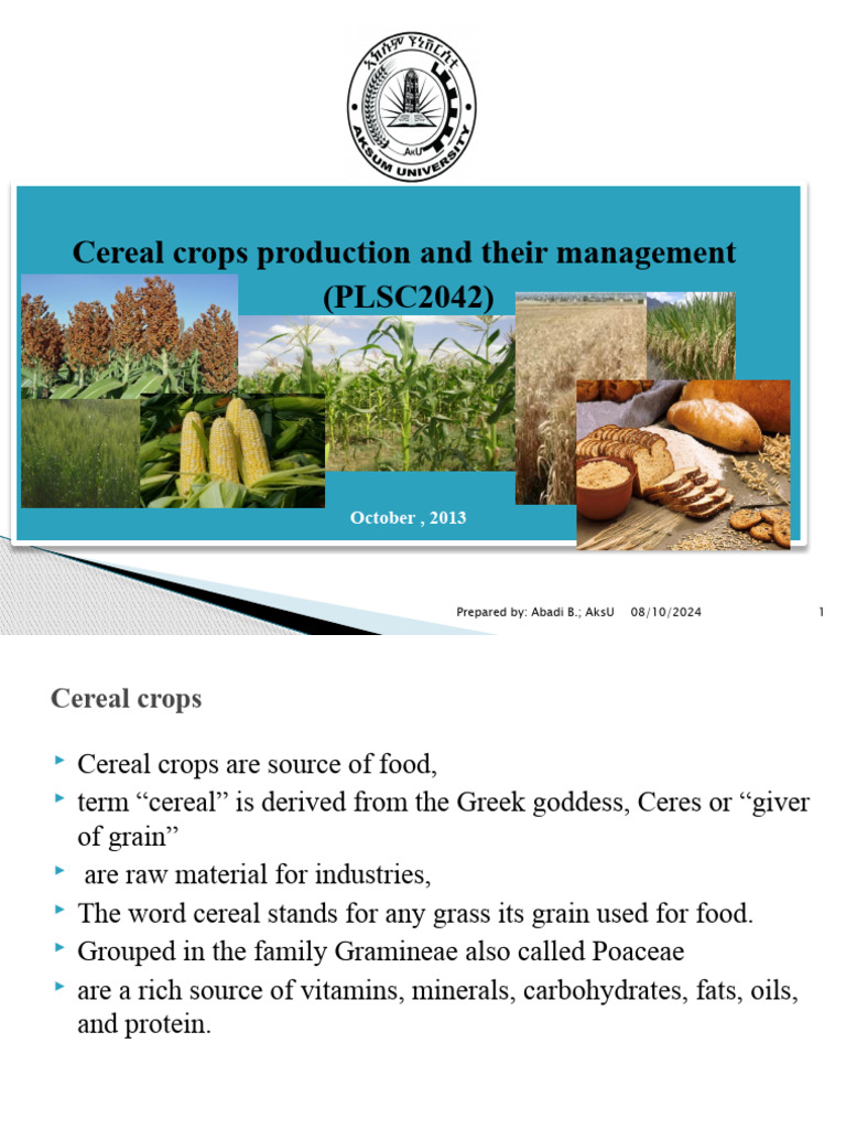 Cereal Crop Management Overview | PDF | Maize | Cereals