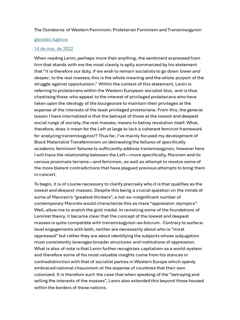 The Ouroboros of Western Feminism | PDF | Gender Studies | Feminism