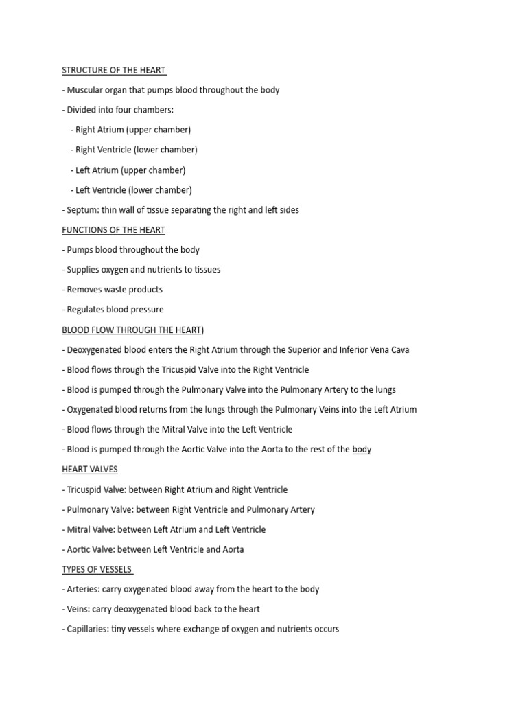 parts of the Heart | PDF