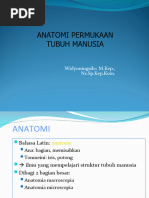 Pembagian Regio Tubuh Manusia | PDF | Kesehatan Holistik | Sains ...
