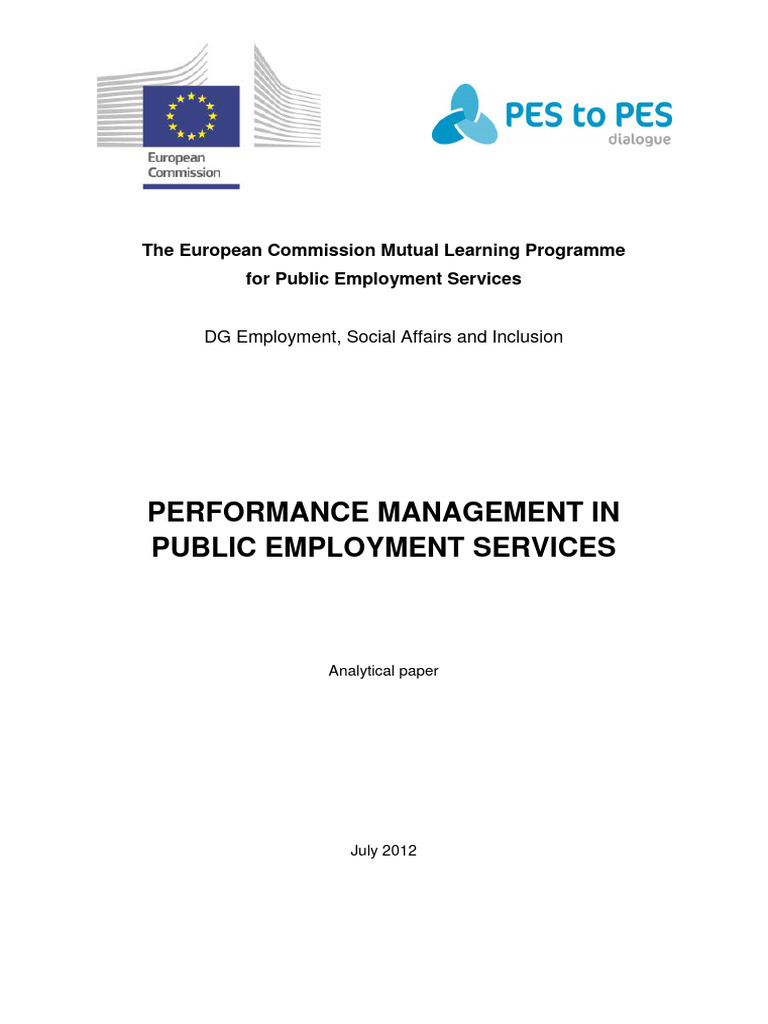 Analytical Paper - Performance Management in Public Employment Services ...