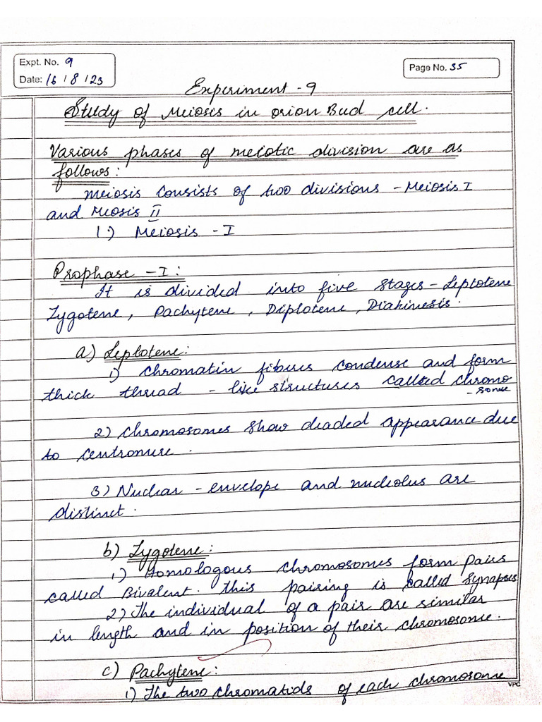 12th Botany Record - Part 2 | PDF