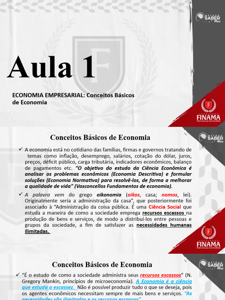 Conceitos Básicos de Economia Empresarial | PDF | Economia | Microeconomia
