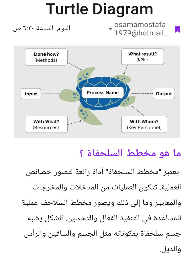 Turtle Diagram | PDF