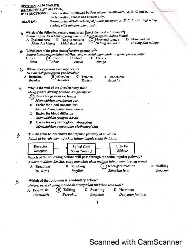 Science Form 3 Mid Year | PDF