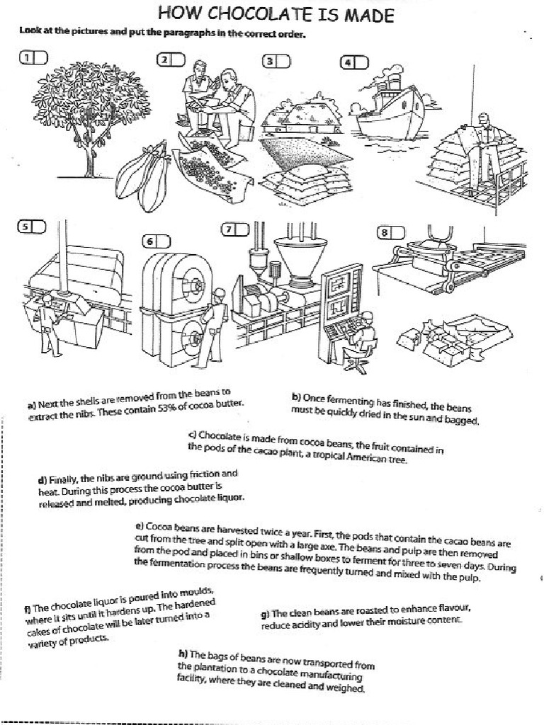 How Chocolate is Made | PDF