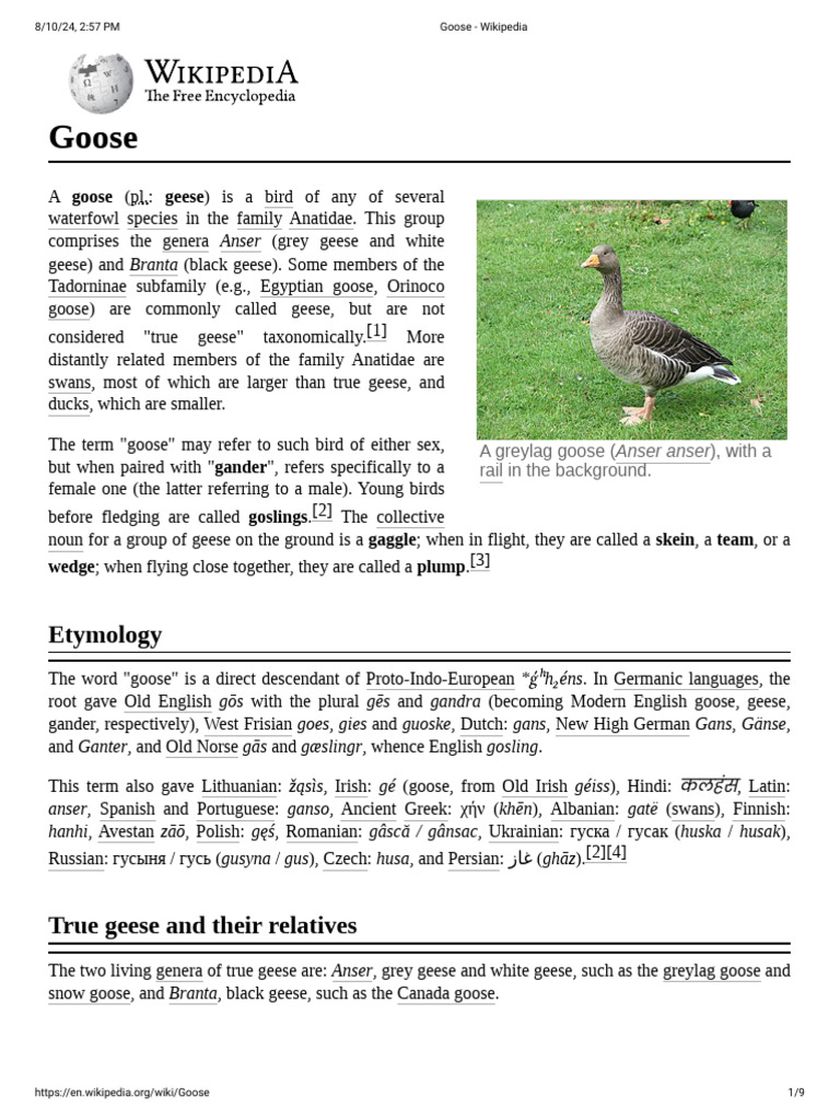 Goose | PDF | Goose | Waterfowl
