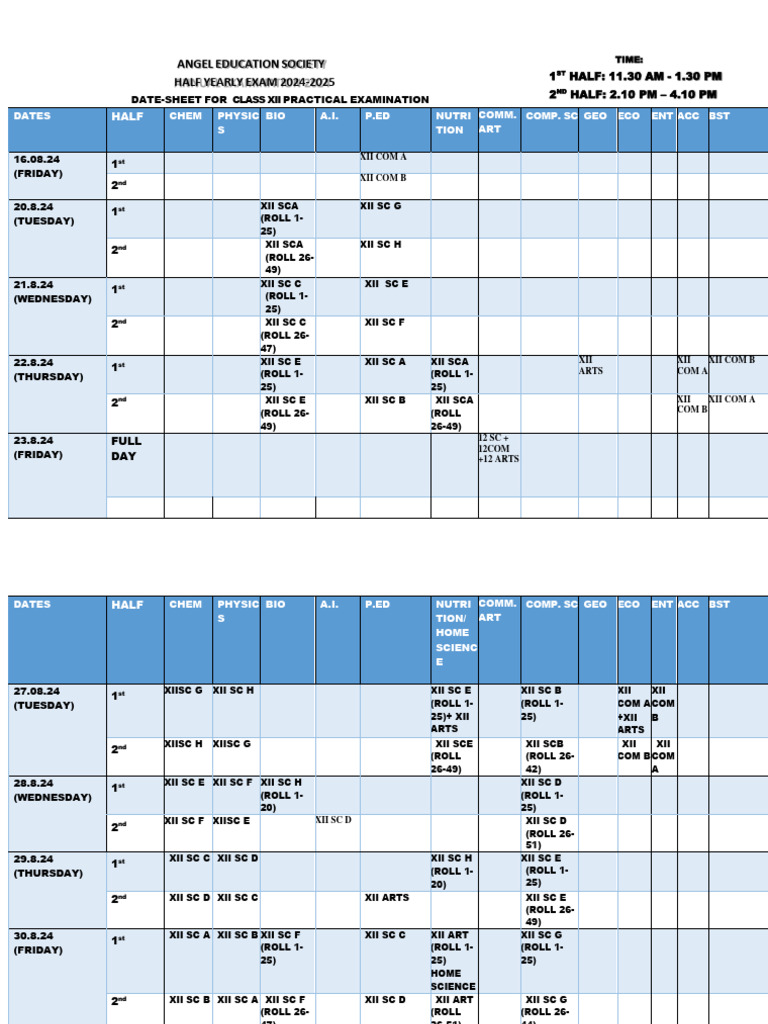 Class 12 Practical 2024 | PDF