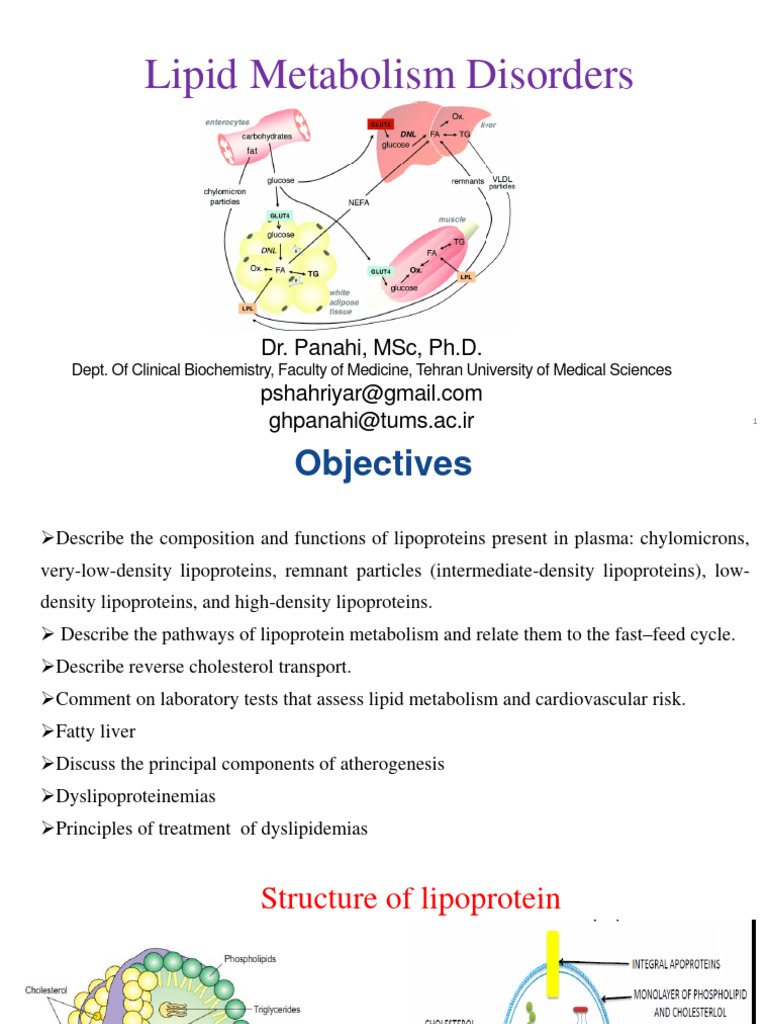 Lipid Metabolism Disorders - Slides | PDF | Lipoprotein | High Density ...