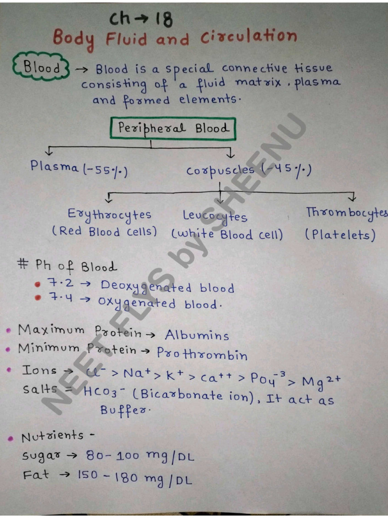 Body Fluids and Circulation... | PDF