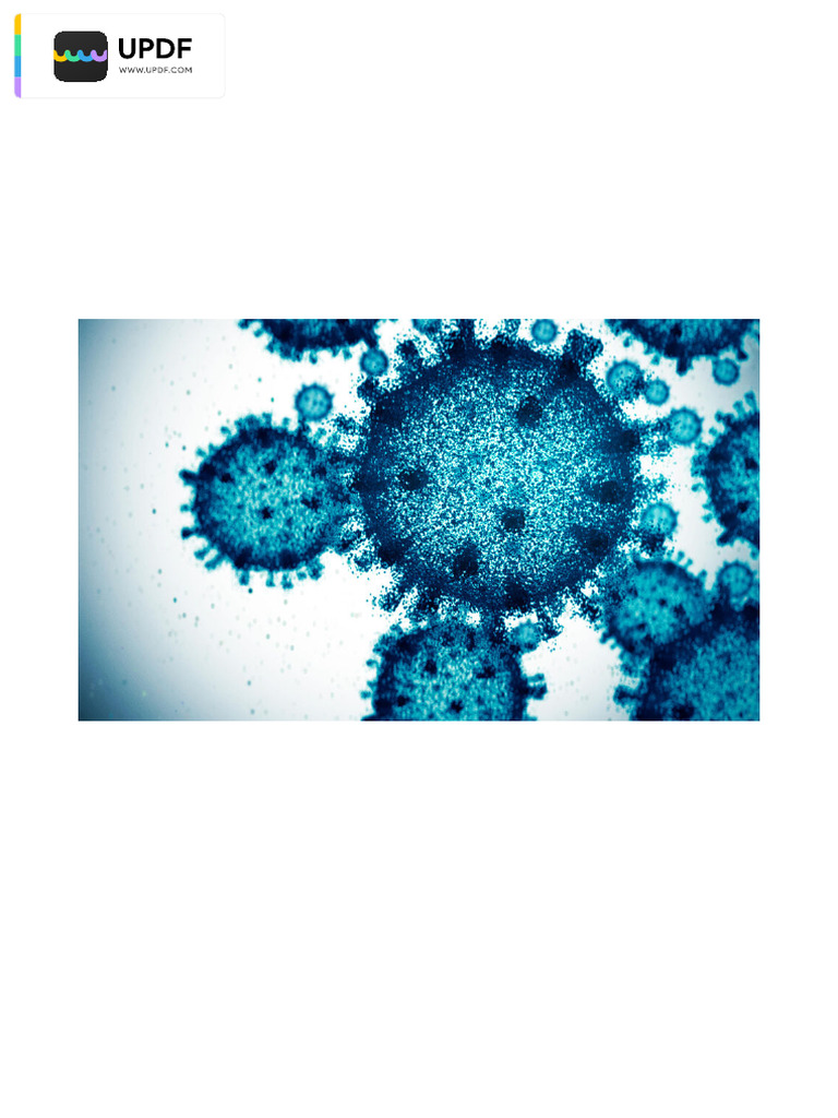 Document Vierge | PDF