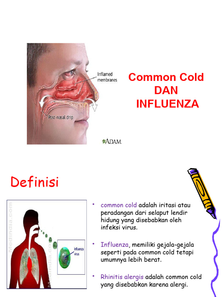 Common Cold | PDF