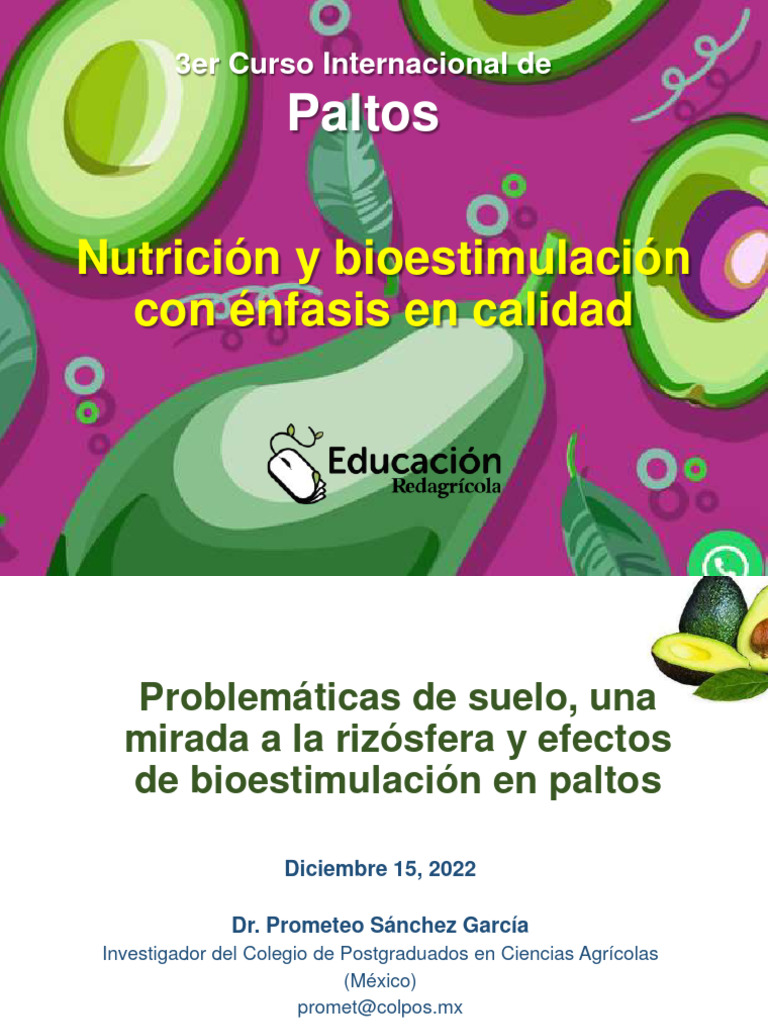 Problemáticas de Suelo, Una Mirada A La Rizósfera y Efectos de ...