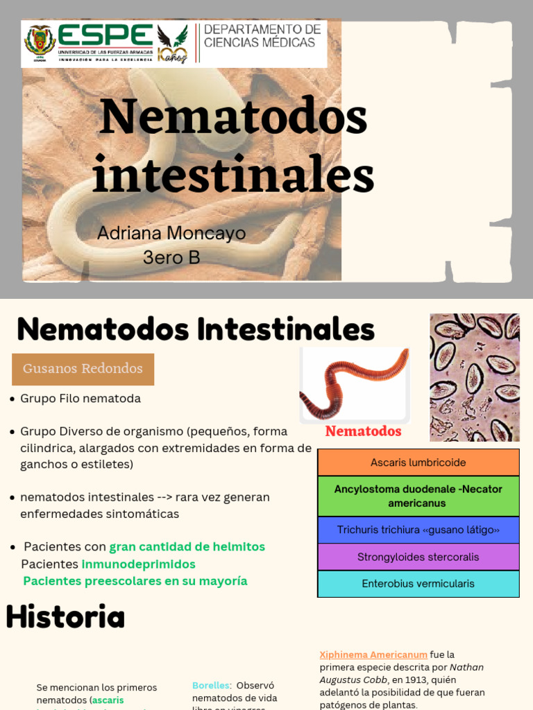 Nematodos Intestinales - 20240721 - 123232 - 0000 | PDF | Nematodo | Tos