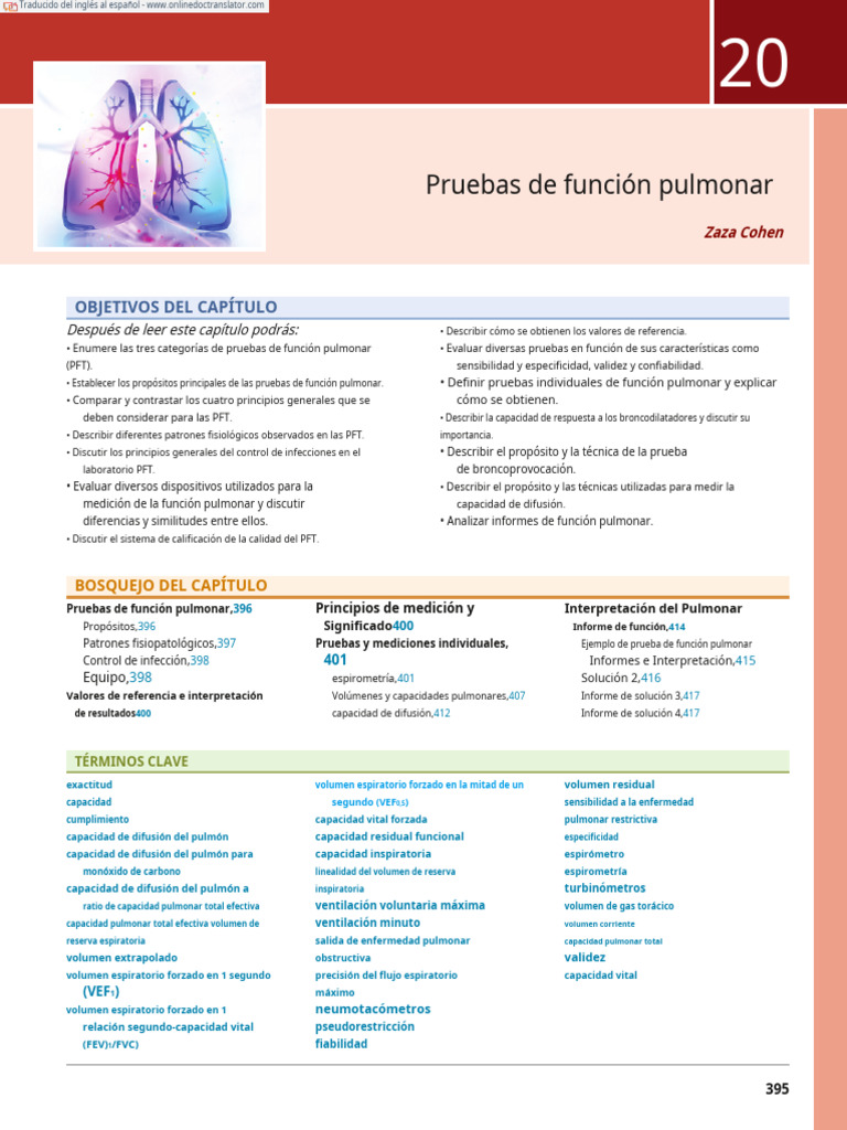 Pruebas de Funcion Pulmonar | PDF | Pulmón | Sistema respiratorio
