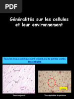 Types de jonctions cellulaires expliqués | PDF | Biologie cellulaire ...