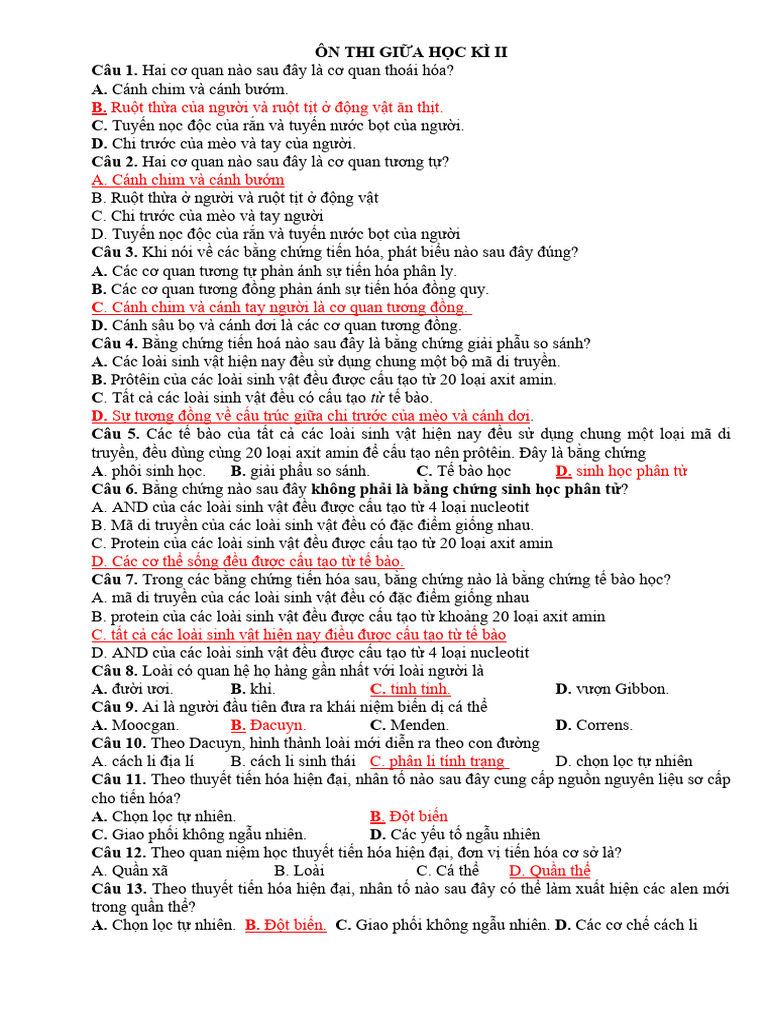 Ôn Thi Gi A Kì 2 SH12 | PDF