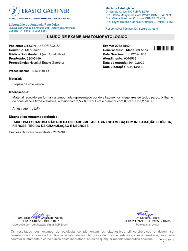 22b18542 Laudo 1 | PDF | Ciências da Saúde | Biologia