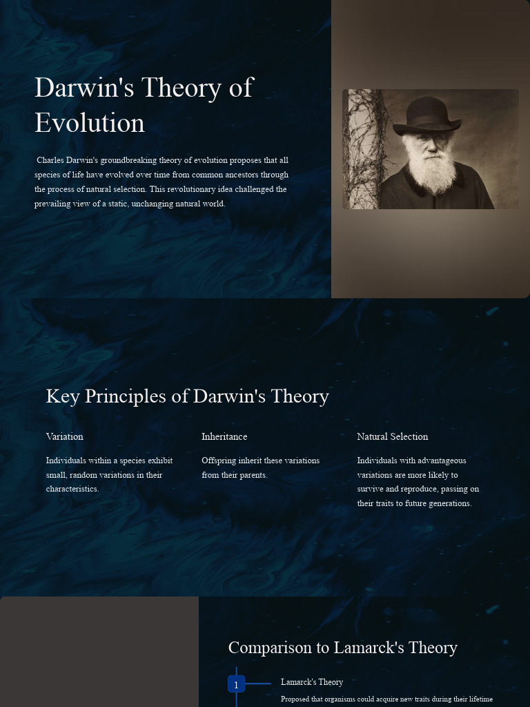 Darwins Theory of Evolution | PDF