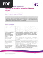 Protocolo Prexor Informe | PDF | ruido