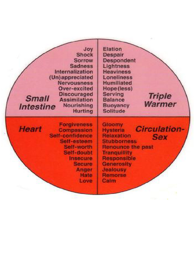 25 - Meridians-Emotions-Wall-Charts | PDF