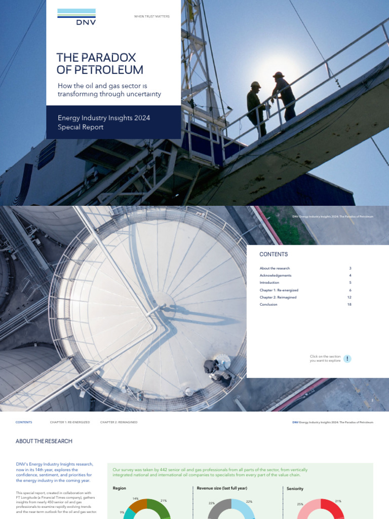 The Paradox of Petroleum 2024 | PDF | Efficient Energy Use | Natural Gas