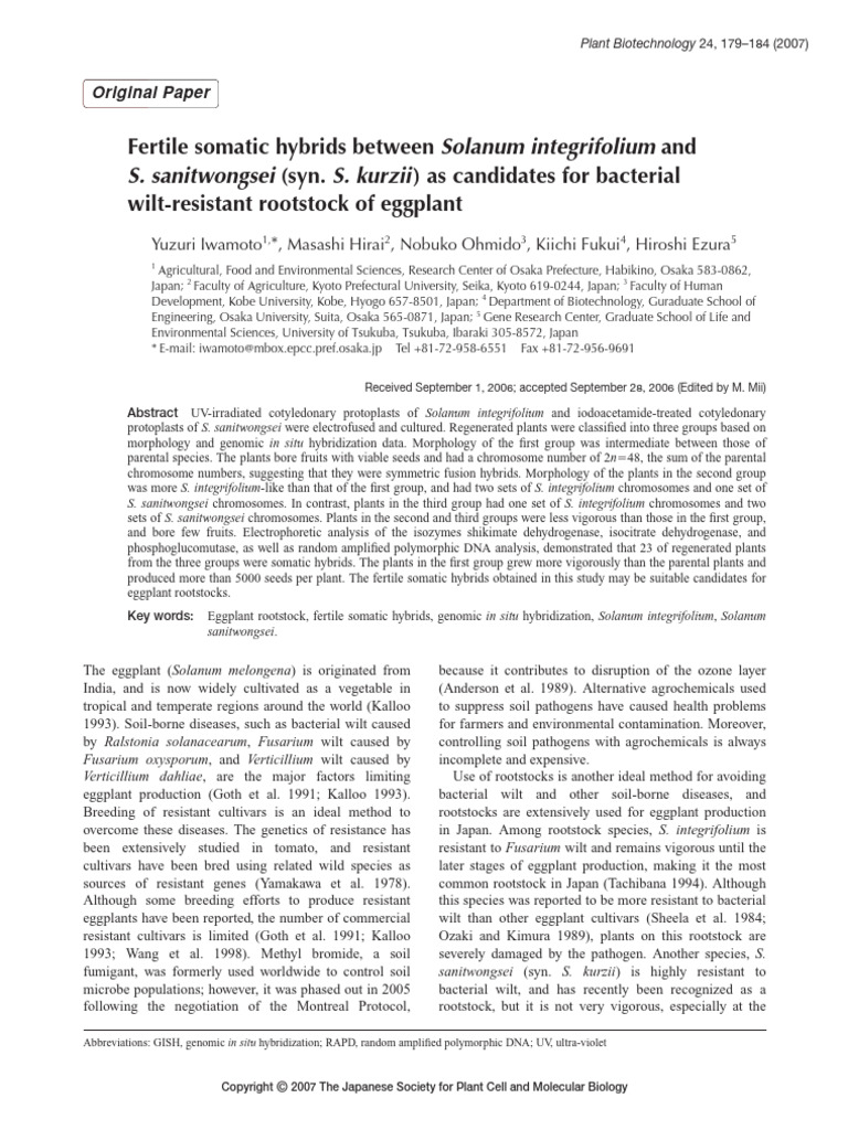 Fertile Somatic Hybrids Between Solanum Integrifolium and and S ...