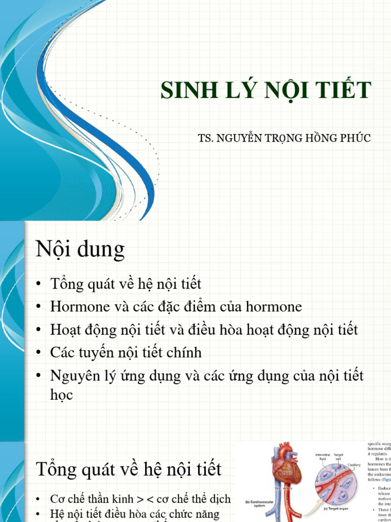 CH 8. Sinh Ly Noi Tiet | PDF