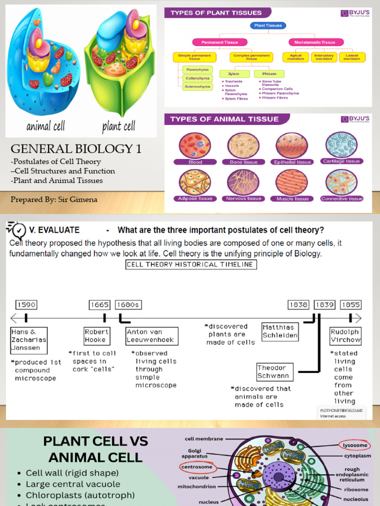 COMMUNICATION | PDF | Tissue (Biology) | Cell (Biology)