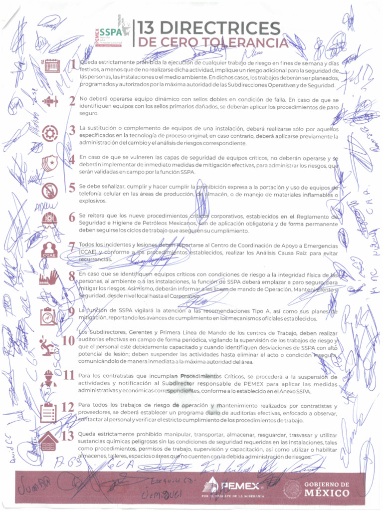 06-06-2024 13 Directrices de 0 Tolerencia | PDF