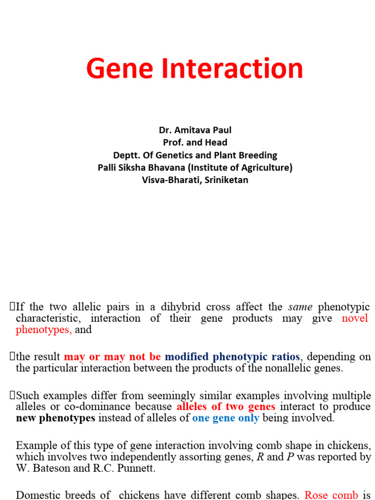 Gene Interaction | PDF | Dominance (Genetics) | Epistasis