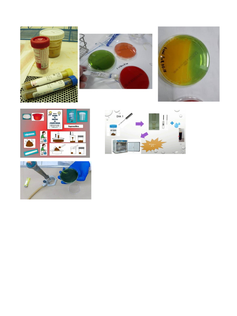 Micro 2 | PDF