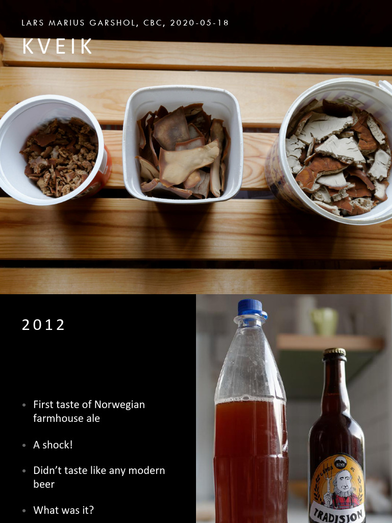 Kveik: Traditional Yeast Insights | PDF | Brewing | Beer