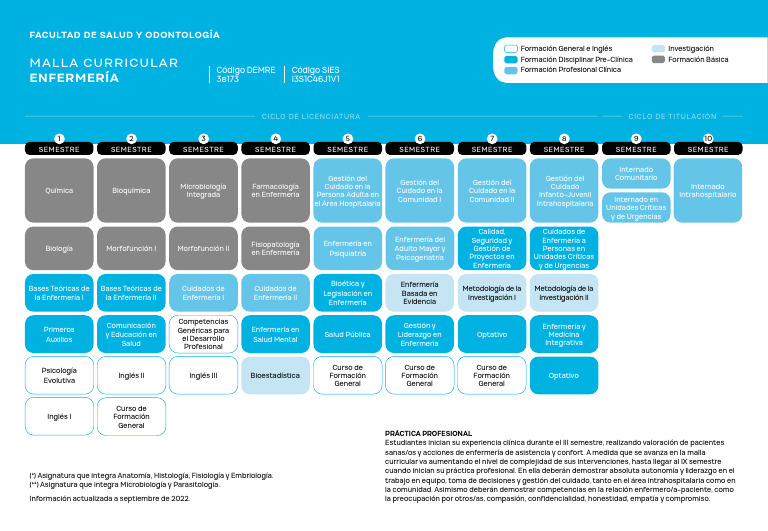 Malla Enfermería Udp | PDF | Enfermería | Cuidado de la salud