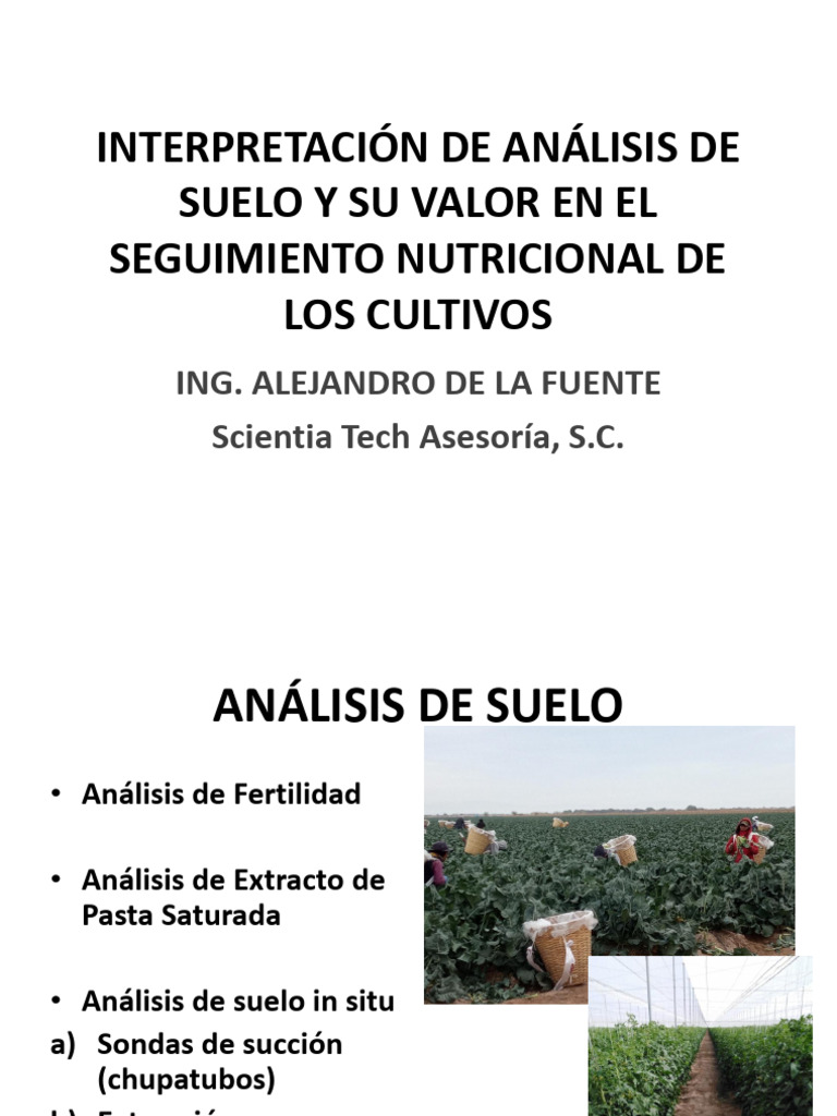 Interpretación de Análisis de Suelo | PDF | Suelo | Naturaleza