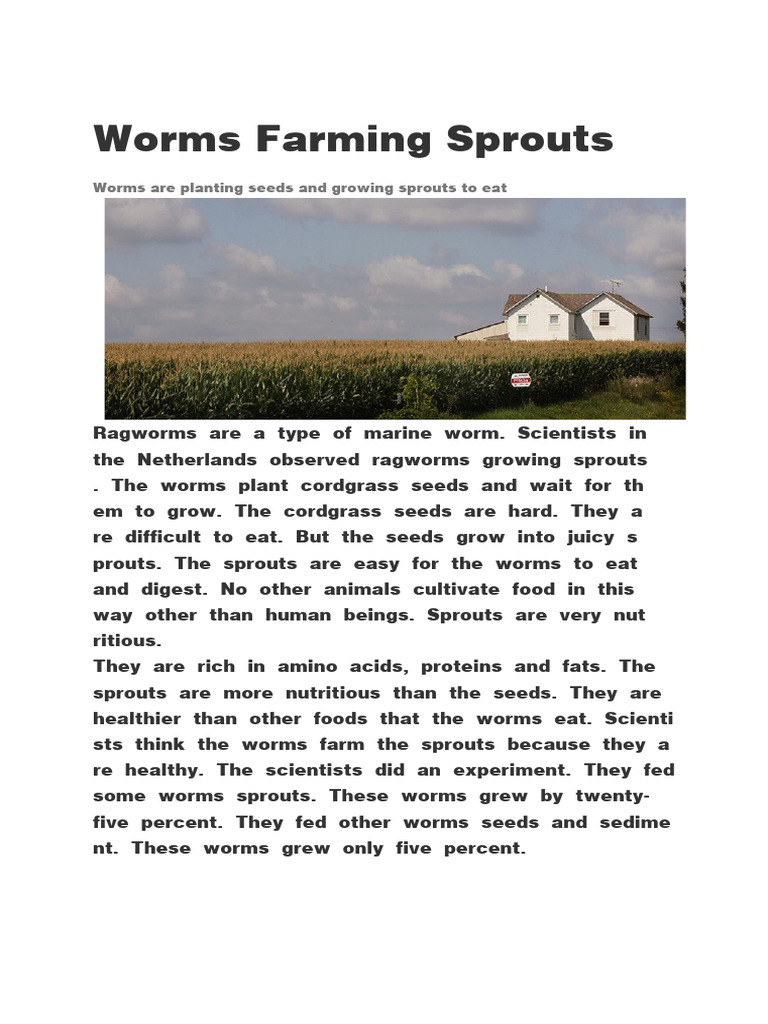 Worms Farming Sprouts - Antônio 24012024 | PDF