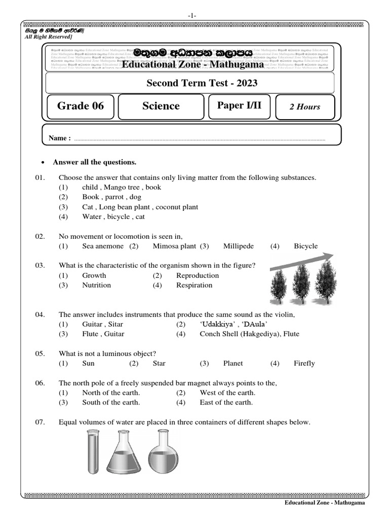 Grade 6 Science Test Questions | PDF | Sound | Water