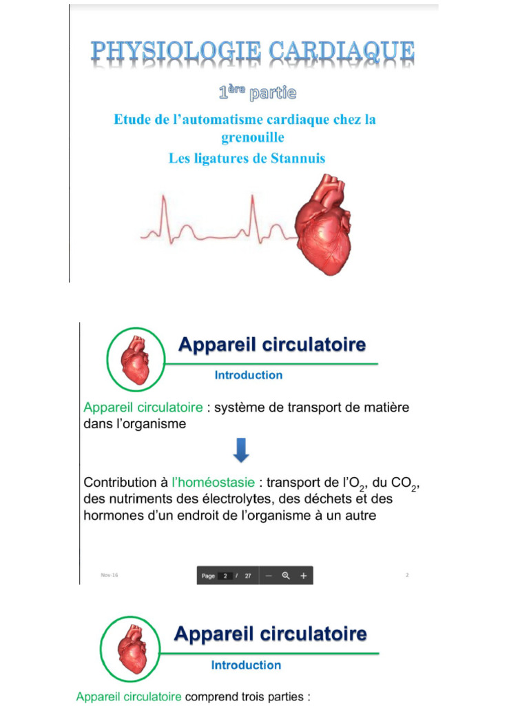 TP 1 Cardio | PDF