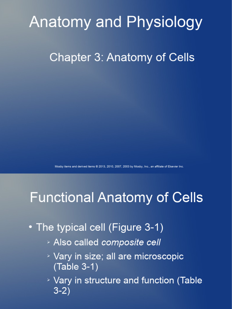 (Sem 1) Chapter - 003 Anatomy of Cell | PDF | Endoplasmic Reticulum ...
