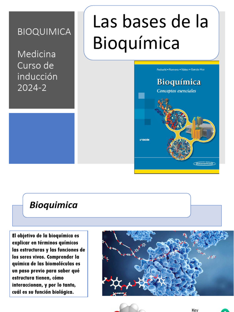 BIOQUIMICA 1-Intro-CH y Lipidos | PDF | Polisacárido | Carbohidratos