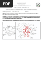 Anatomía del Seno Cavernoso | PDF | Anatomía humana | Cabeza y cuello ...