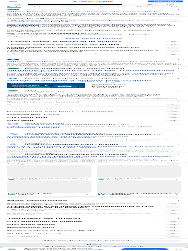 Problemas y Soluciones con Plin | PDF