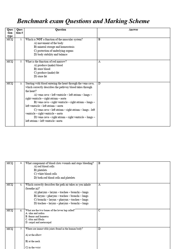 Benchmark 2 Exam Questionsand Marking Scheme Finalupdatedapproved | PDF ...