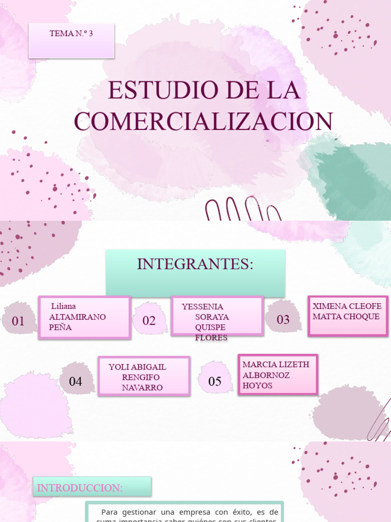 Prep. y Eval. de Proyectos | PDF | Marketing | Producto (Negocio)