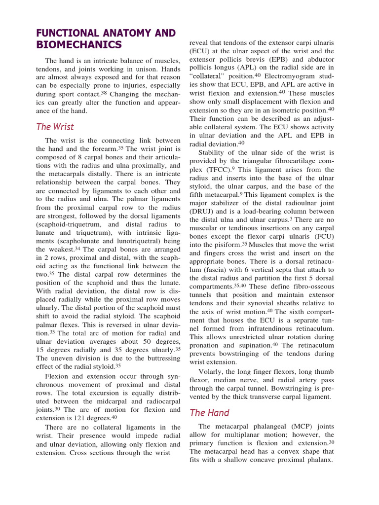 Functional Anatomy and Biomechanics - Hand | PDF | Hand | Anatomy