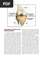 Fugl Meyer Assessment Lower Extremity FMA LE | PDF | Anatomical Terms ...