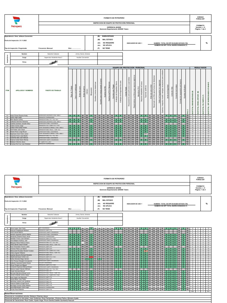 Anexo 2.1. Inspección de EPP-May | PDF | Accesorios de moda | Calefacción eléctrica