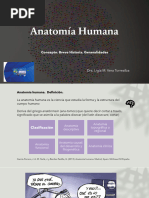 Variantes Anatómicas | PDF | Especialidades Medicas | Medicina CLINICA